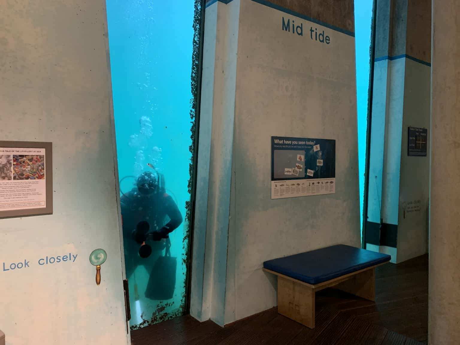 Underwater Scuba Display | National Maritime Museum Cornwall