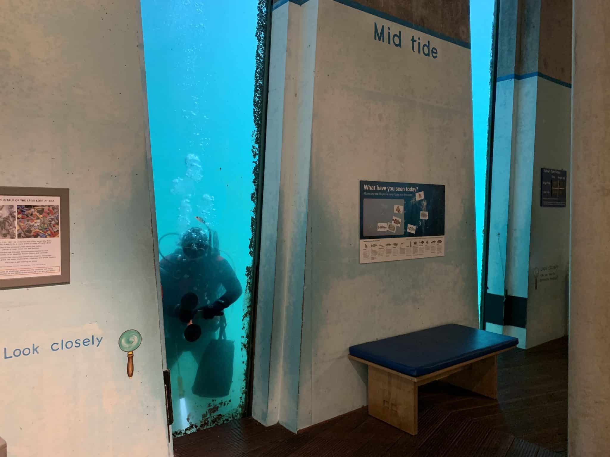 Underwater Scuba Display | National Maritime Museum Cornwall : National ...