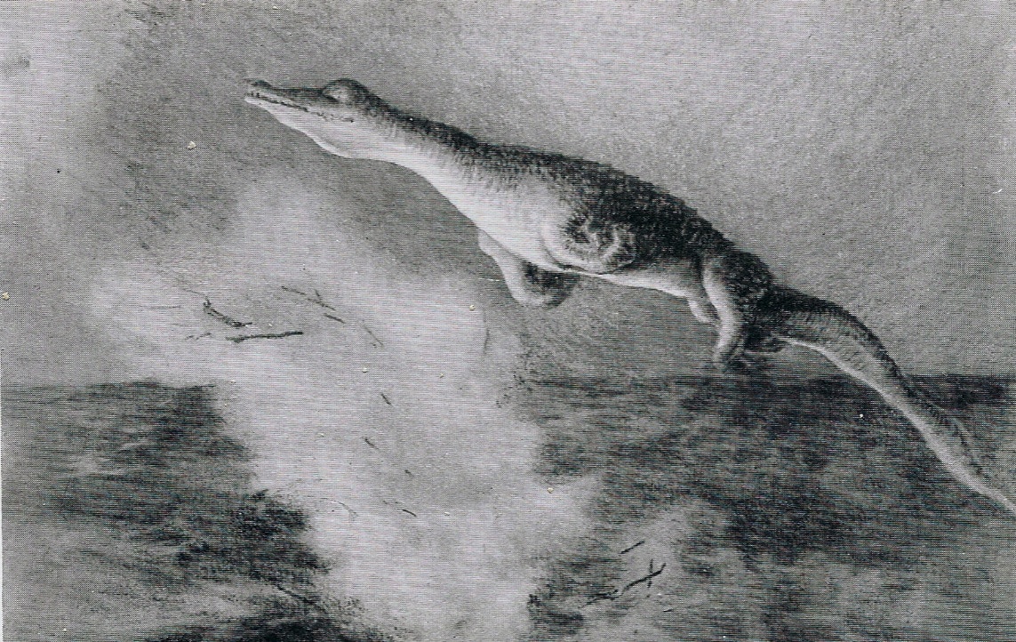 Monsters Talks | National Maritime Museum Cornwall : National Maritime ...